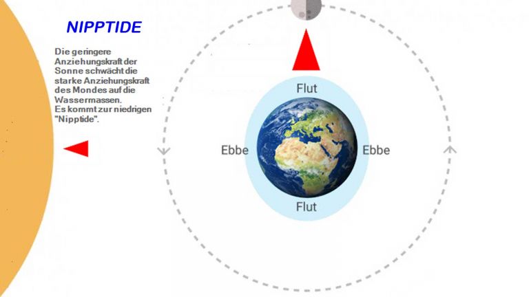 Ebbe und Flut auf Fanö | Wie entstehen Gezeiten?